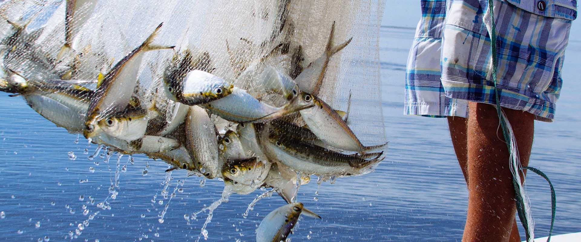 Transform Your Night Fishing Adventures with LED Boat Lights