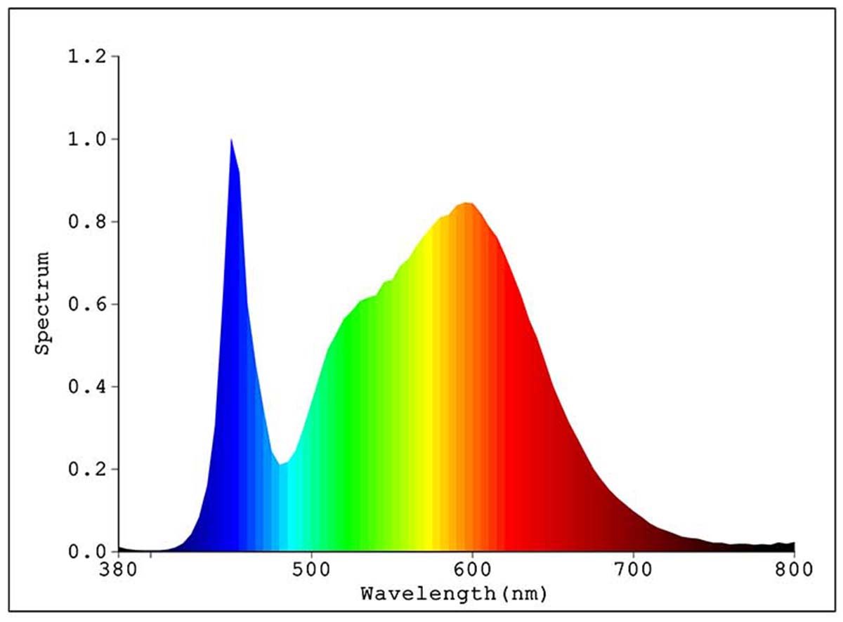 What Is the Spectrum of Visible Light?